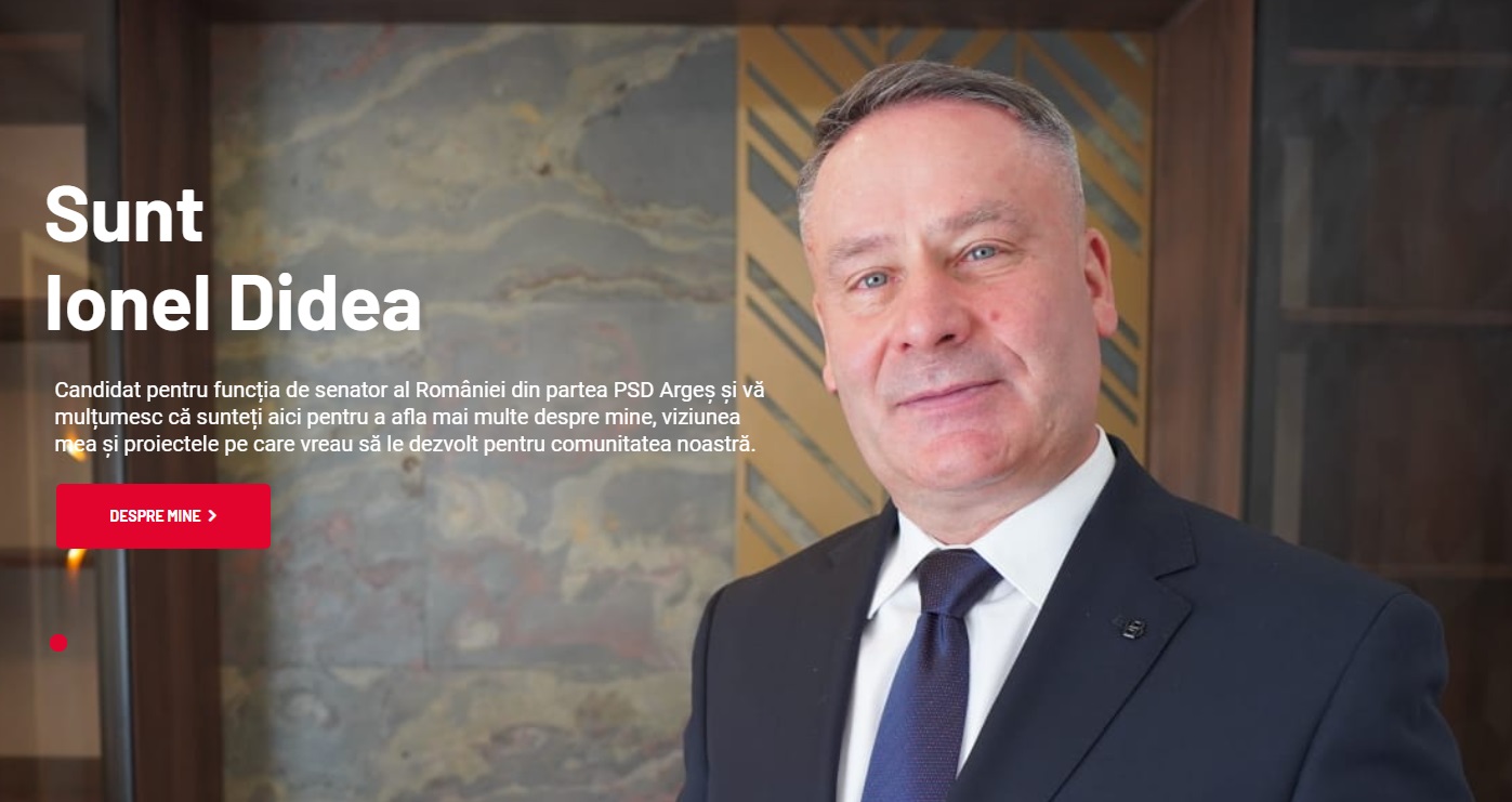Ionel Didea - Candidat pentru Senatul României